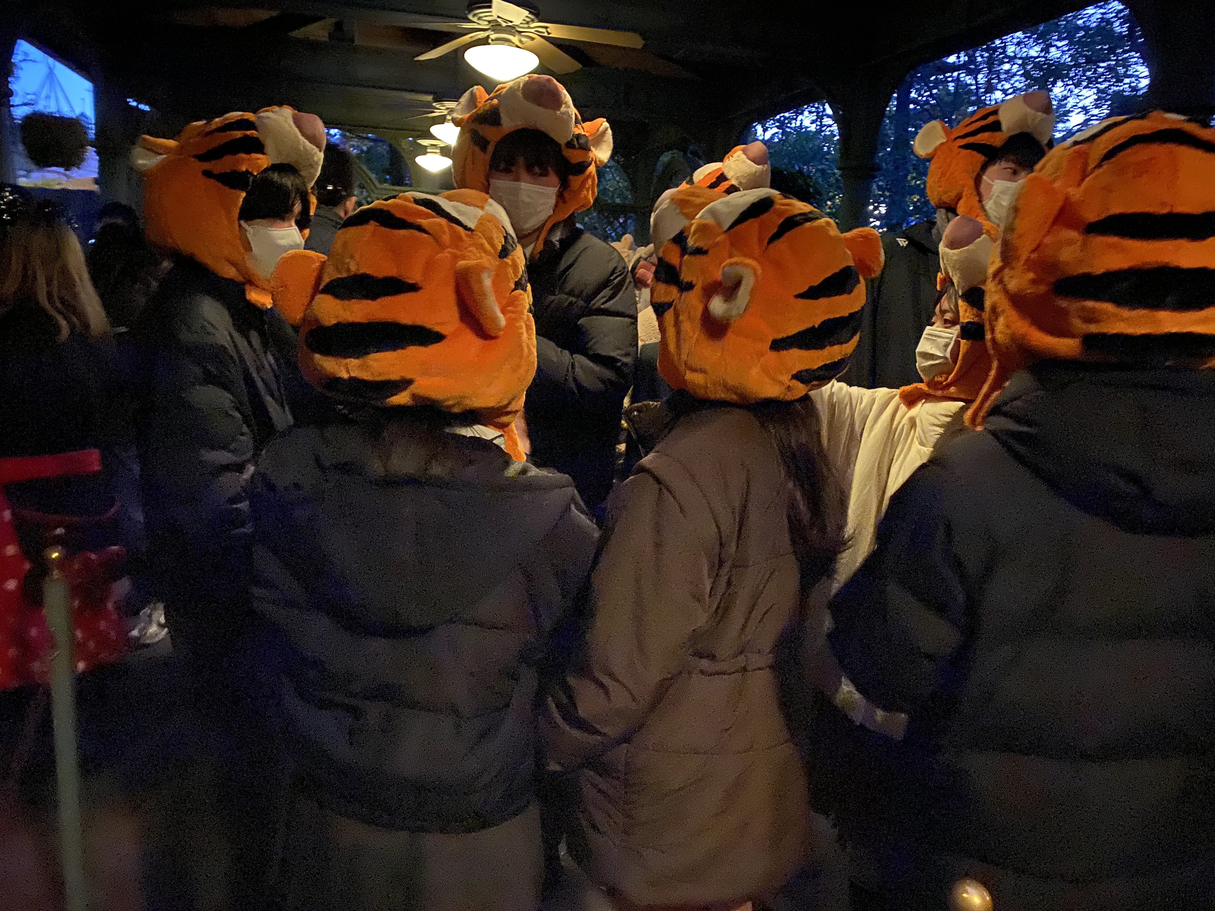 Tokyo Disneyland – Juliette Knits